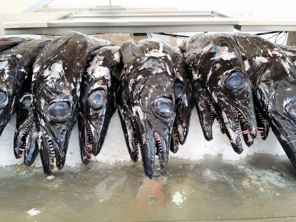 L’île de Madère – Prestige'S